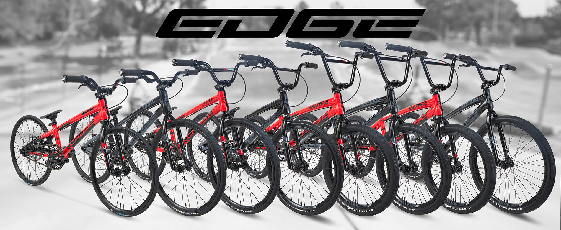 Race BMX Singapore | Shop BMX Racing Bikes